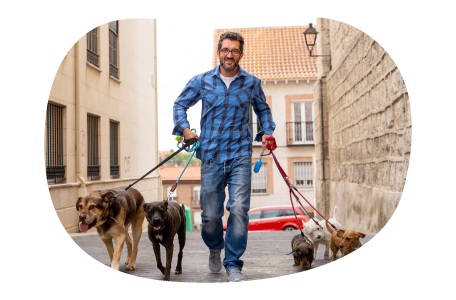 Dog Walking Business Insurance | Insureon