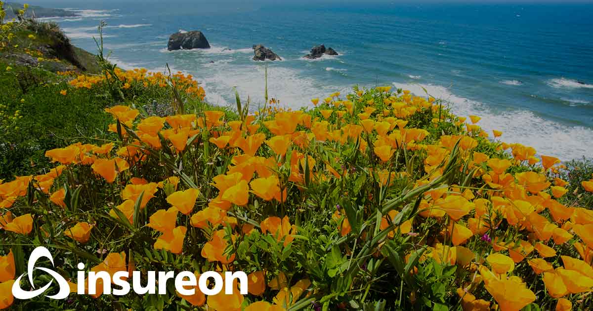 California Business Insurance: General Liability & More | Insureon