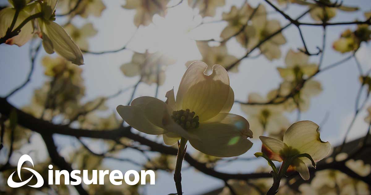 North Carolina Business Insurance: General Liability & More | Insureon