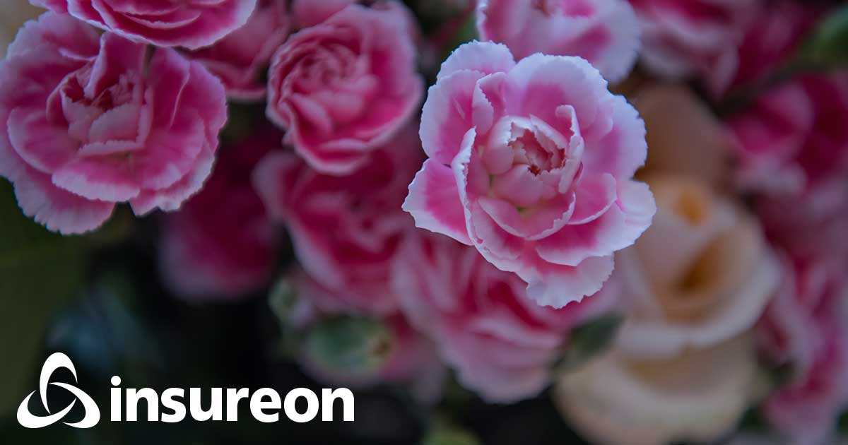 Ohio Business Insurance: General Liability & More | Insureon